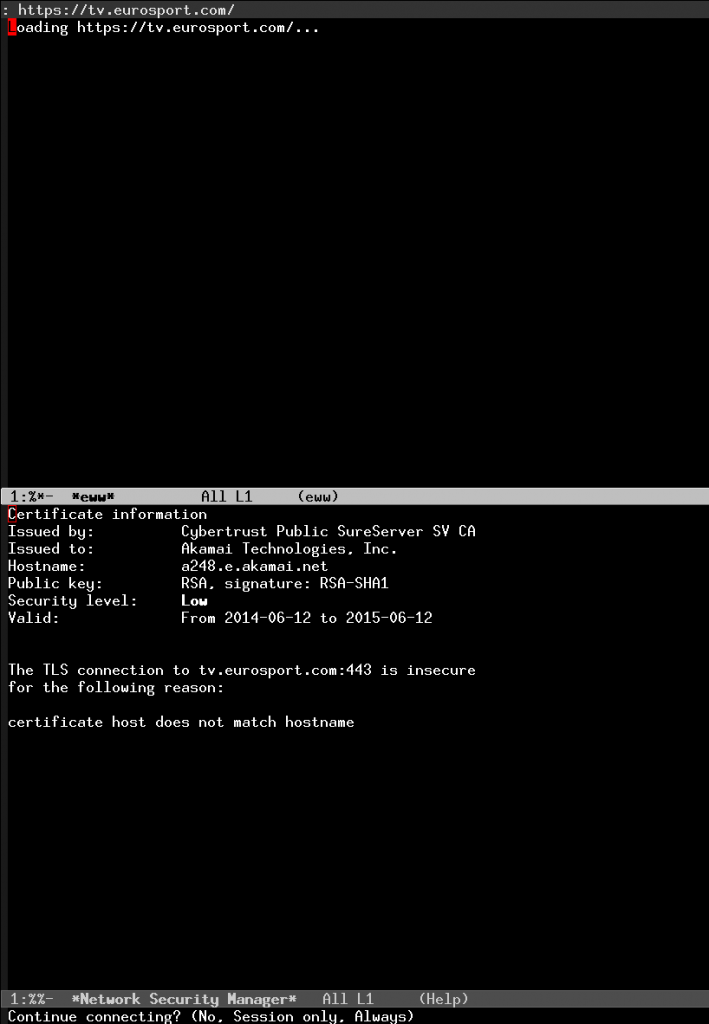 The Emacs Network Security Manager – Random Thoughts